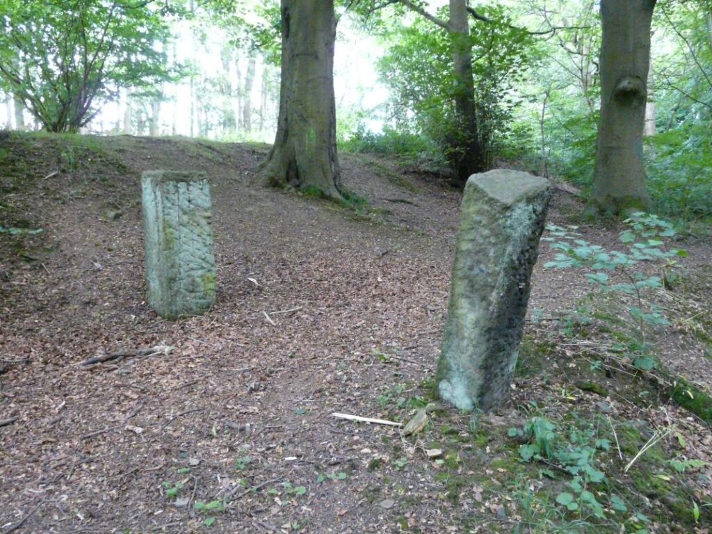 Digging Deeper For All – Friends of Graves Park