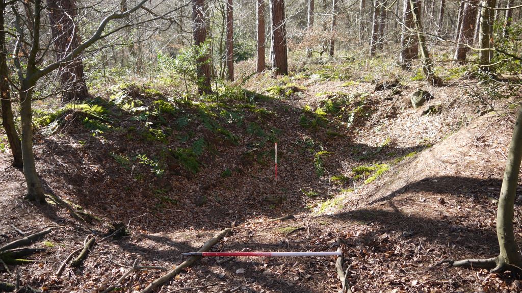 Digging Deeper For All – Friends of Graves Park
